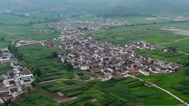 Chinese Field Stock Footage: Royalty-Free Video Clips - Storyblocks