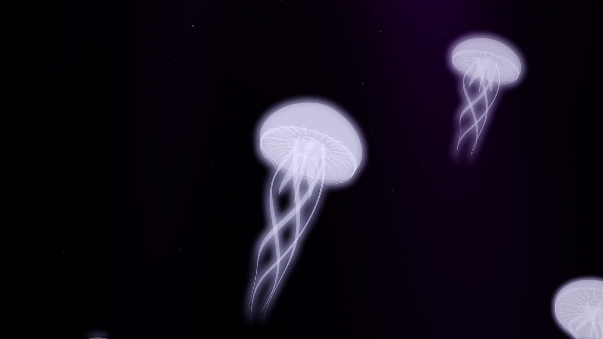 Glowing Jellyfishes In Sea 3d Animation Loop Stock Motion Graphics SBV ...
