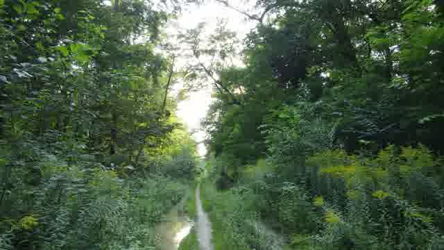 Opposite Paths Stock Footage: Royalty-Free Video Clips - Storyblocks