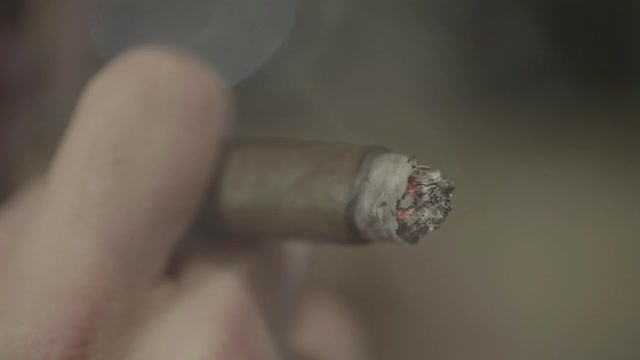 Smoke Cigar Men Stock Footage: Royalty-Free Video Clips - Storyblocks