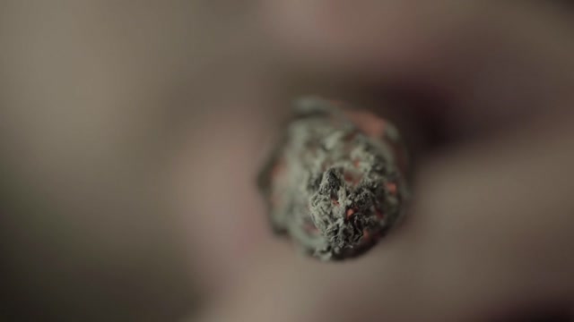 Smoke Cigar Men Stock Footage: Royalty-Free Video Clips - Storyblocks