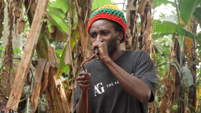 Black Reggae Artist Stock Footage: Royalty-Free Video Clips - Storyblocks