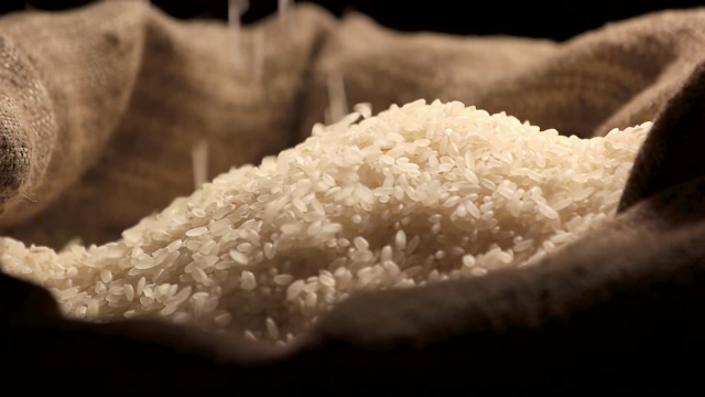 Rice Stock Footage: Royalty-Free Video Clips - Storyblocks