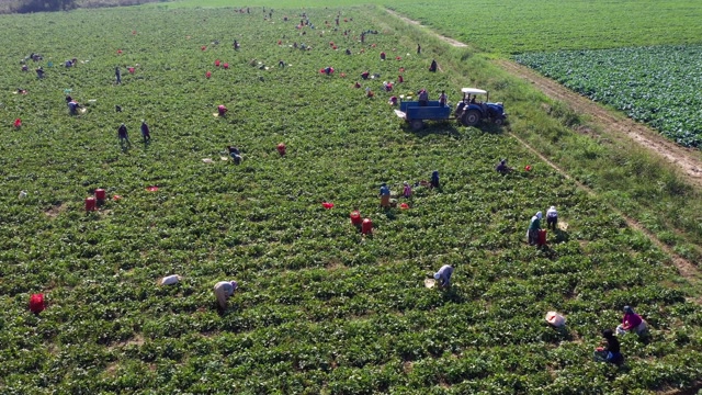 Farming Stock Footage: Royalty-Free Video Clips - Storyblocks