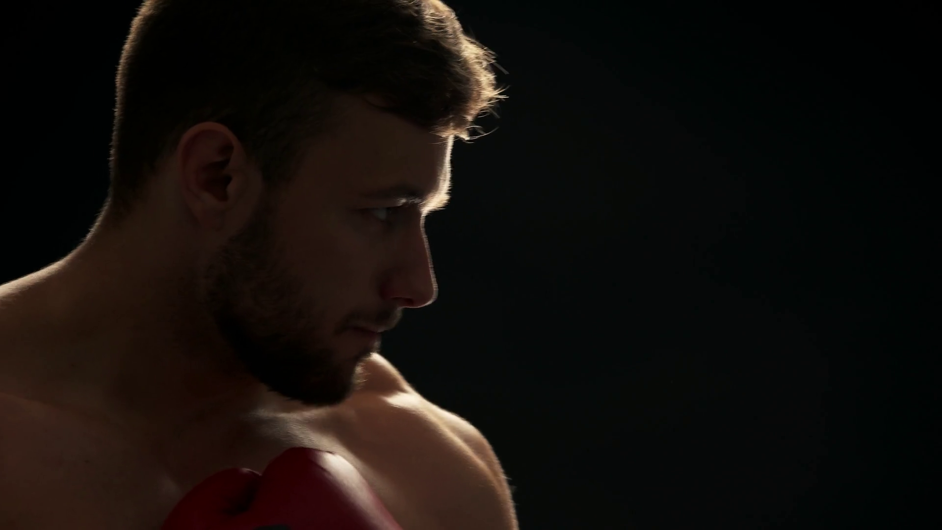 Aggressive Boxer Is Fighting On Ring Young Stock Footage SBV-334320491 ...