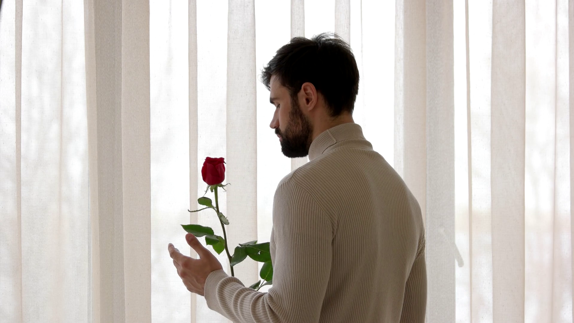 Bearded Guy Holding Rose Man Smelling Flower Stock Footage SBV ...