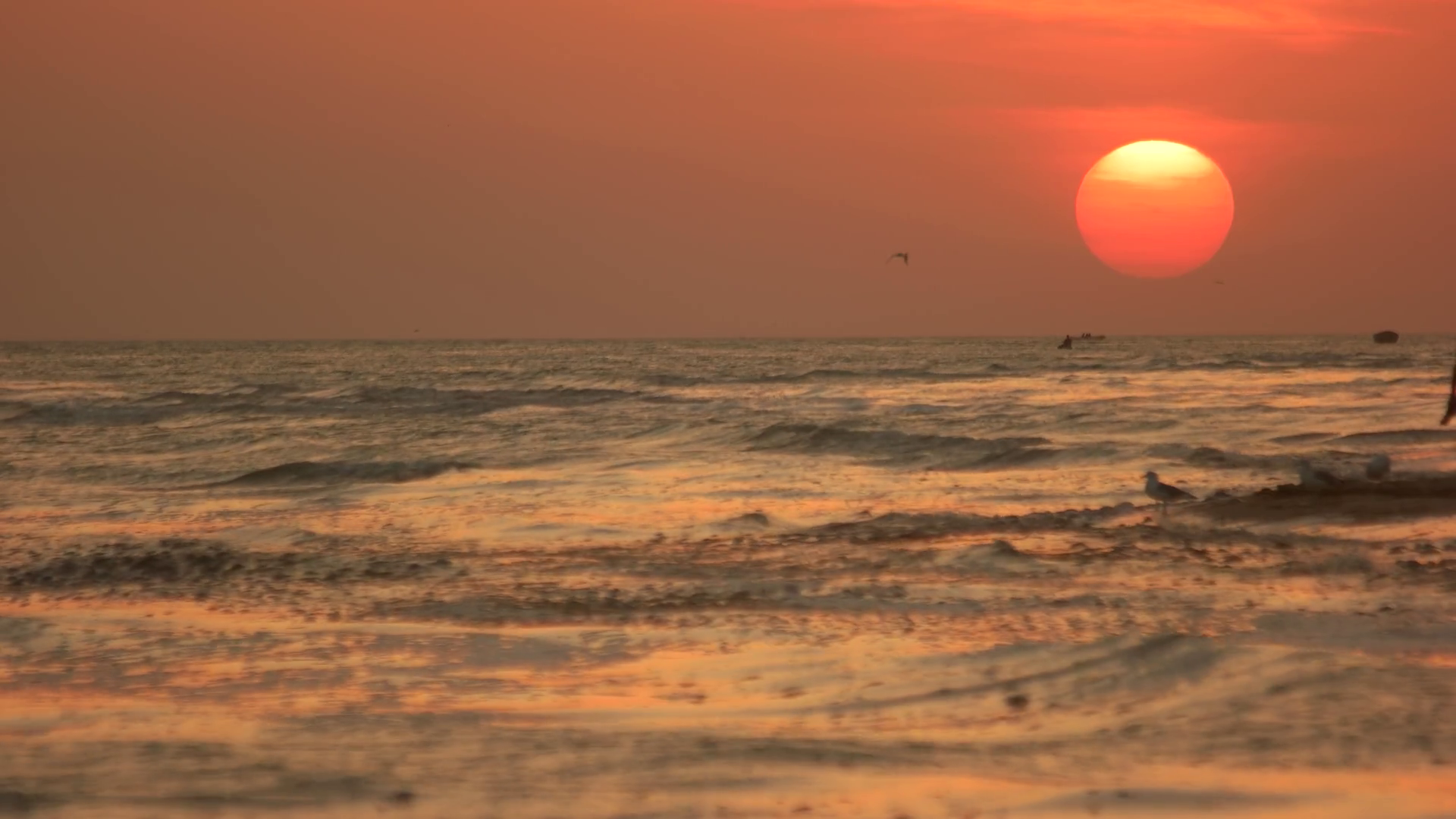 Beautiful Sunset Over Sea Person Walking On Stock Footage SBV-336850883 ...