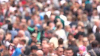 Stadium Crowd Wallpaper
