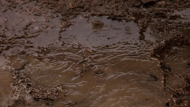 Mud Splash Stock Footage: Royalty-Free Video Clips - Storyblocks