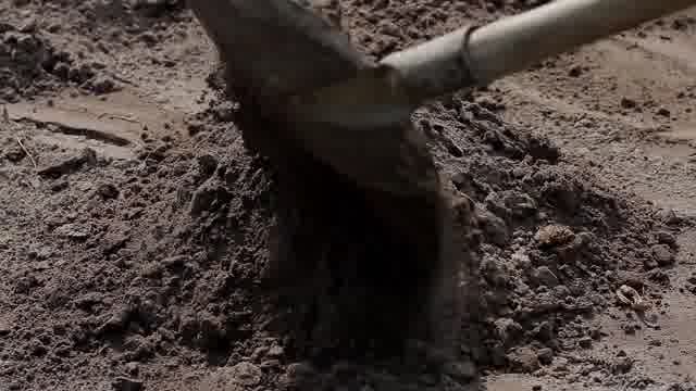 Digging Stock Footage: Royalty-Free Video Clips - Storyblocks