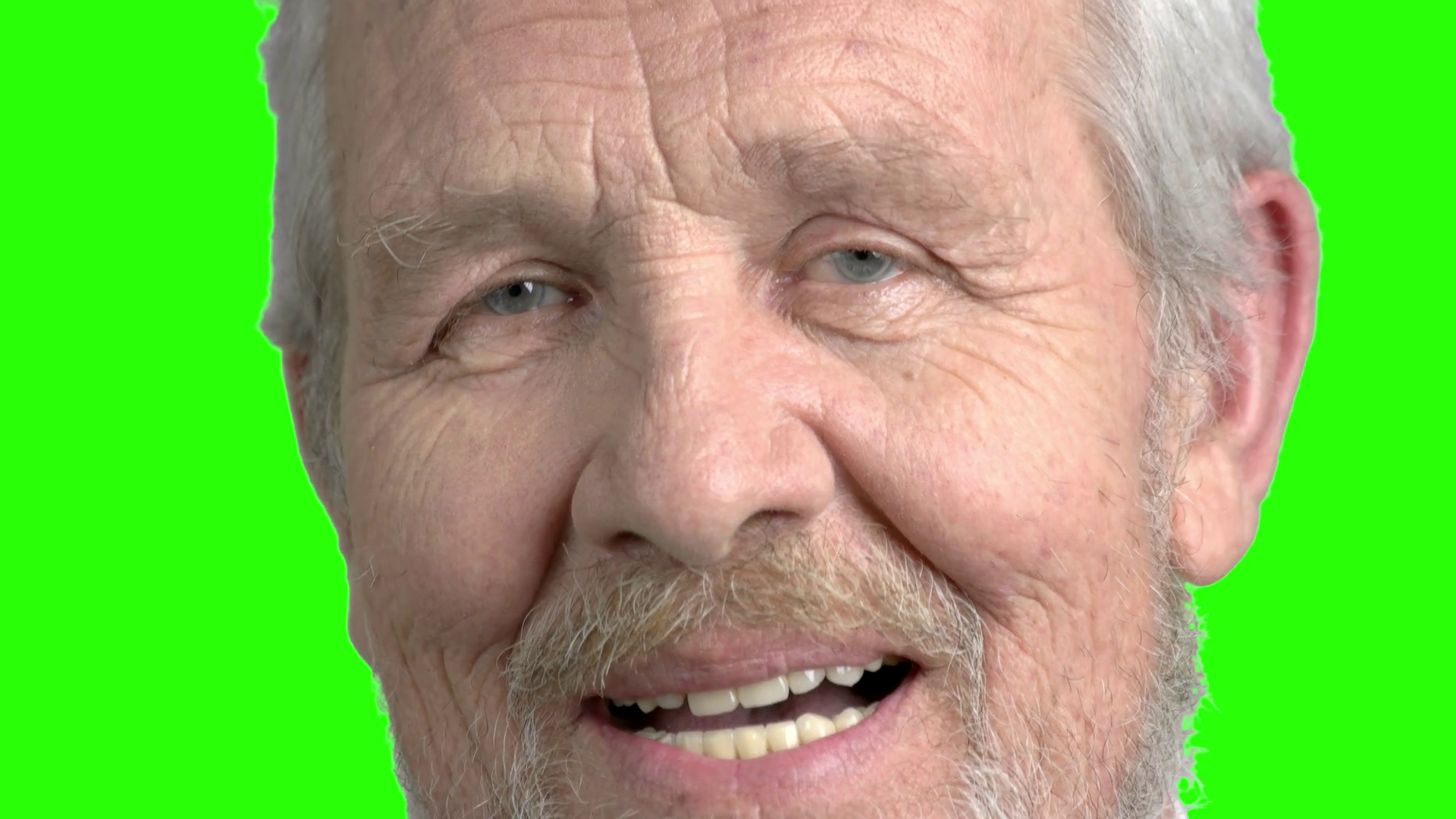 Close Up Elderly Man Nods With Head Close Up Stock Motion Graphics SBV ...