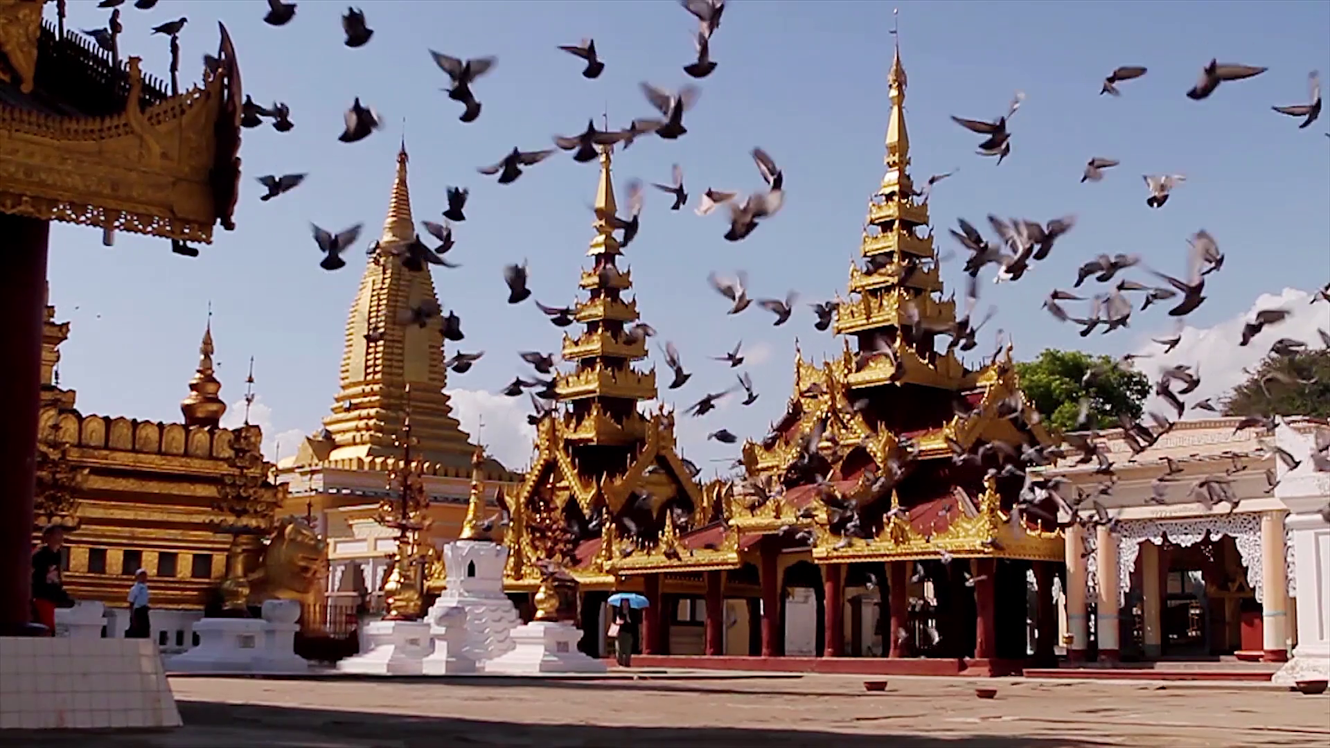 Flying Pigeons Over Pagodas Pigeons In Stock Footage SBV-313640446 ...