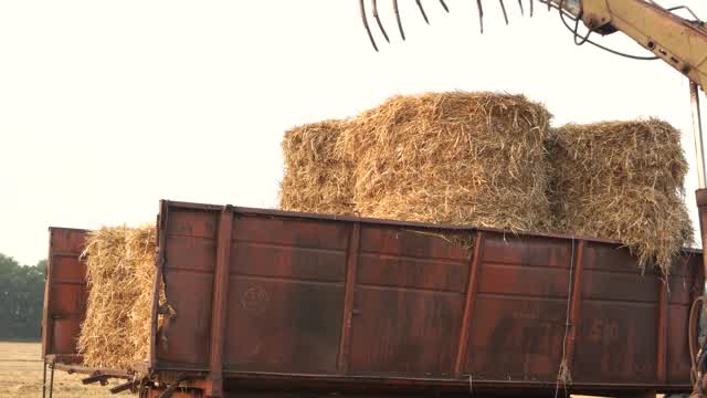 Dry Area Stock Footage: Royalty-Free Video Clips - Storyblocks