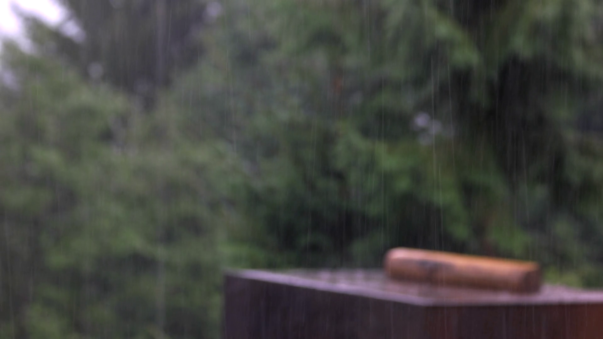 Heavy Rain In Summer Park View Of Falling Stock Footage SBV-337767306 ...