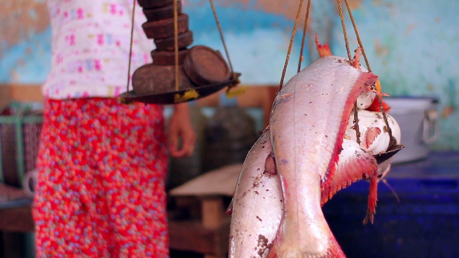 large, fresh fish at fish market in India Stock Video Footage 00:11 SBV ...