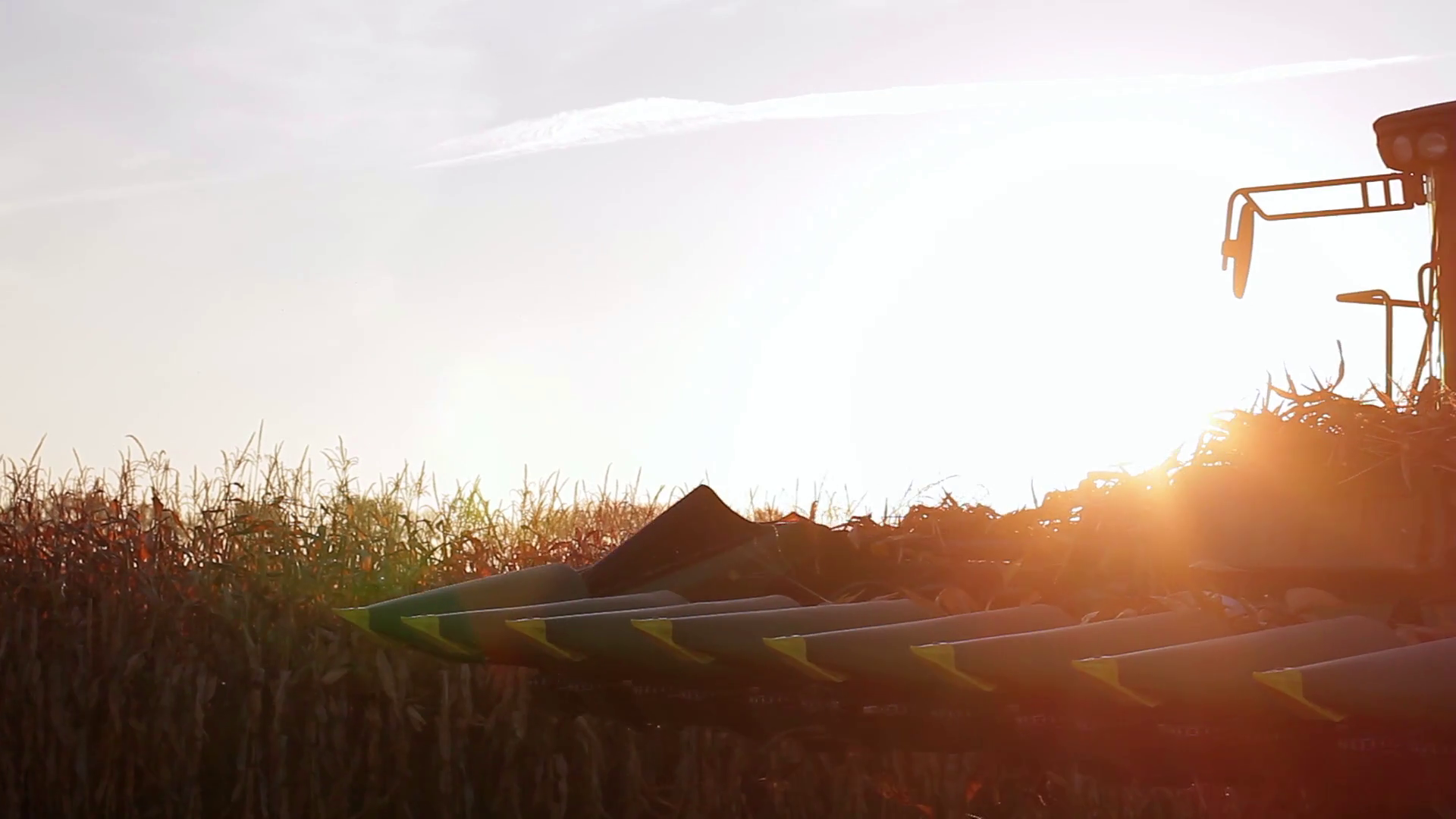 large plow of harvester for harvesting of corn Stock Video Footage 00: ...