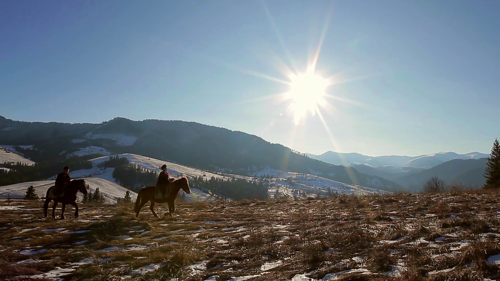 Mountainy Journey On Horseback Winter Morning Stock Footage SBV ...