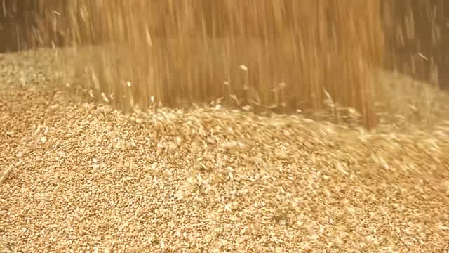 Equipment Texture Stock Footage: Royalty-Free Video Clips - Storyblocks