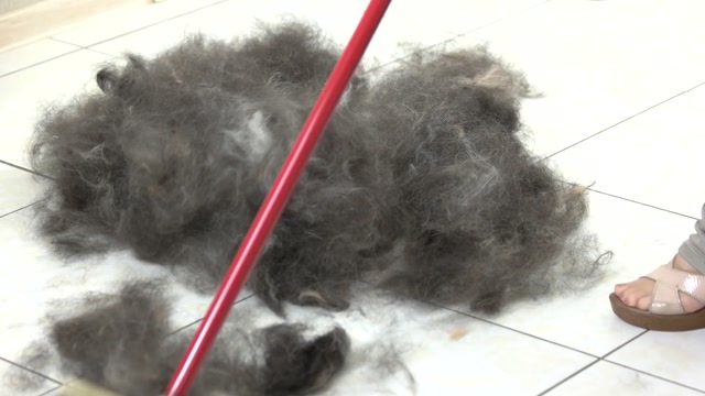 Rip Transition Stock Footage: Royalty-Free Video Clips - Storyblocks