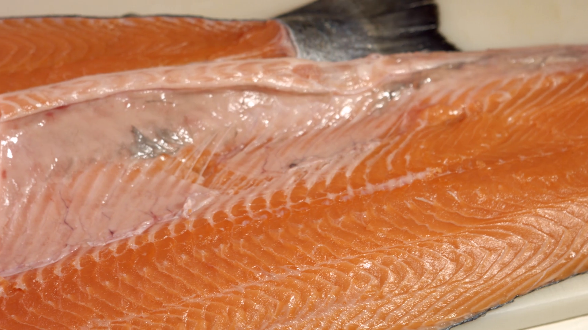 Raw Fish With Red Meat Fish On White Wooden Stock Footage SBV-318205885 ...