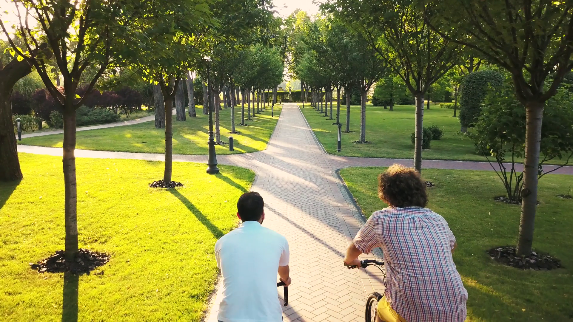 Two male friends riding bicycles in park. Young man cycling in summer ...