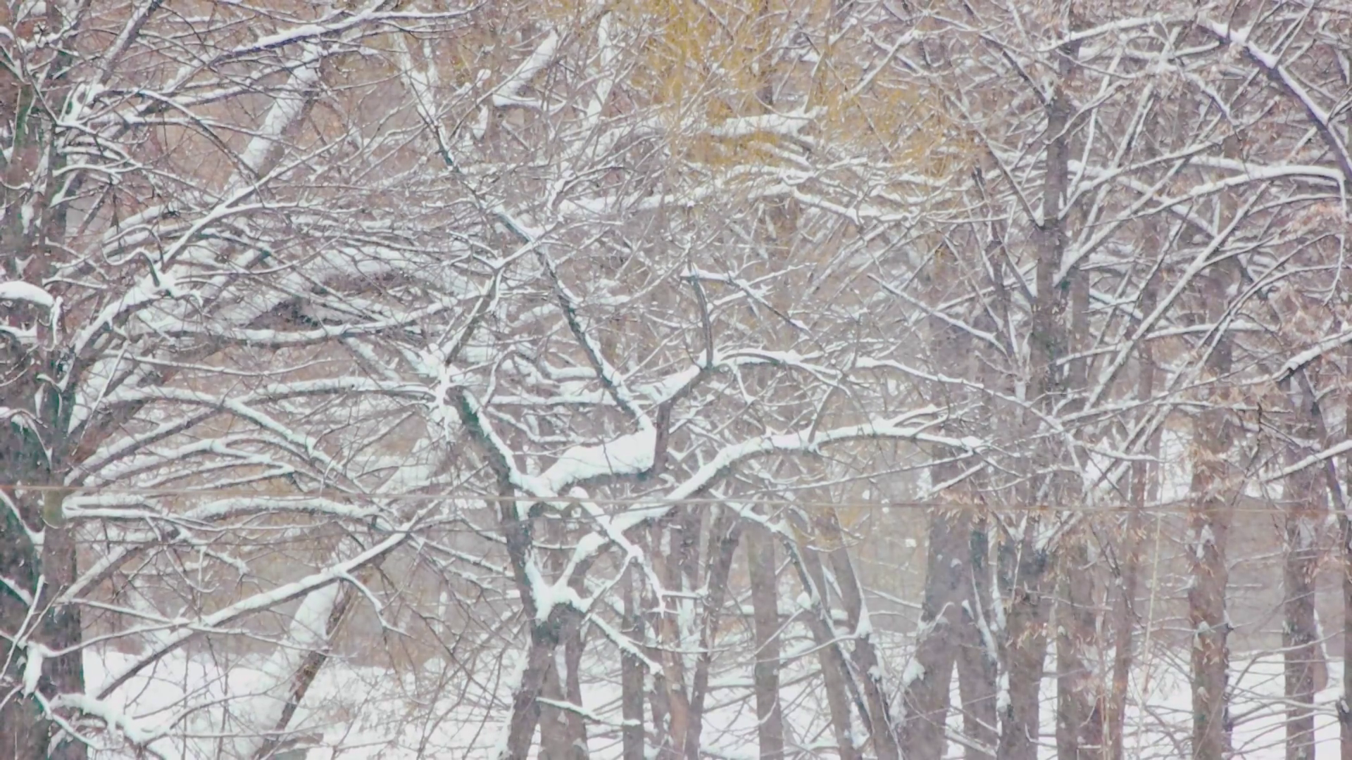 Winter Wonderland: Serene Nature Scene With Stock Footage SBV-330804542 ...