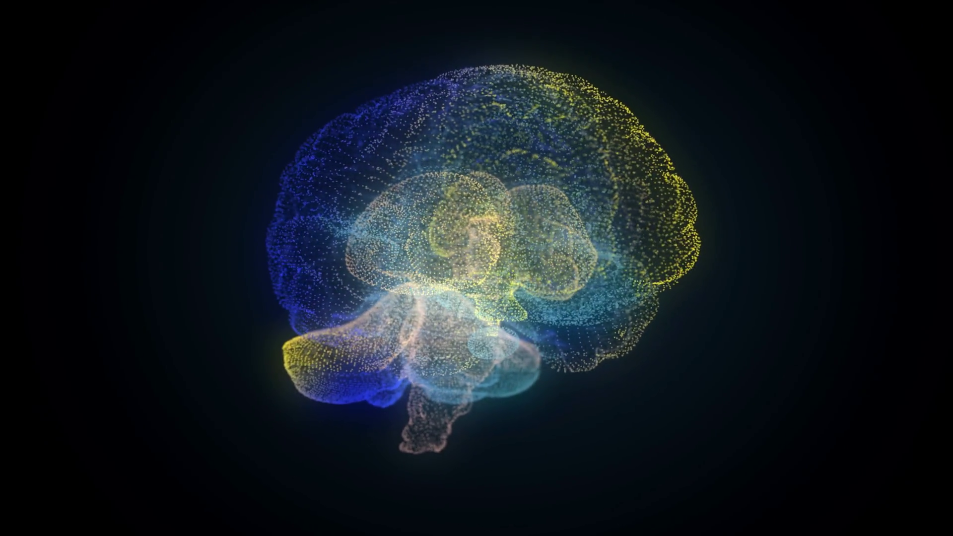 Futuristic 3d Hologram Brain Made Of Glowing Stock Motion Graphics SBV ...