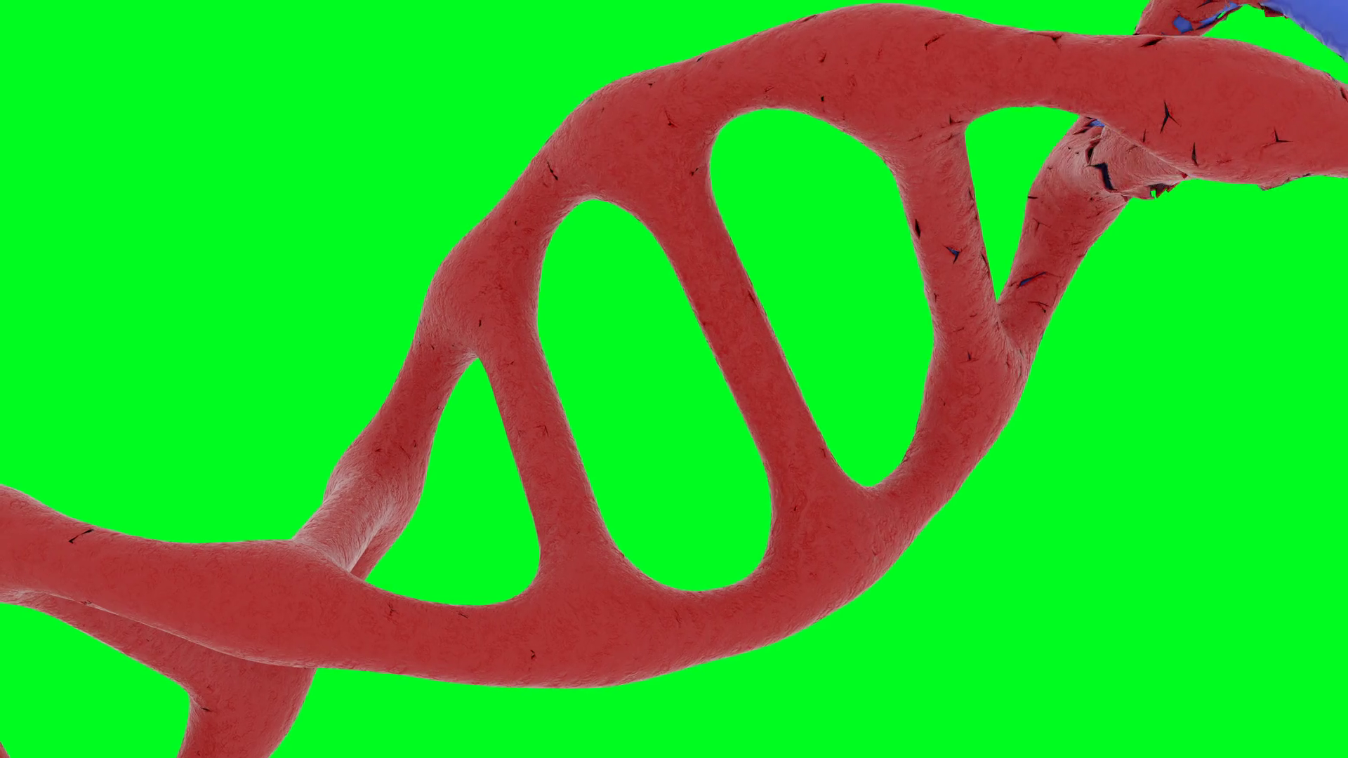 Replacement Of Abstract Double Helix Dna Stock Motion Graphics SBV-347735359 - Storyblocks