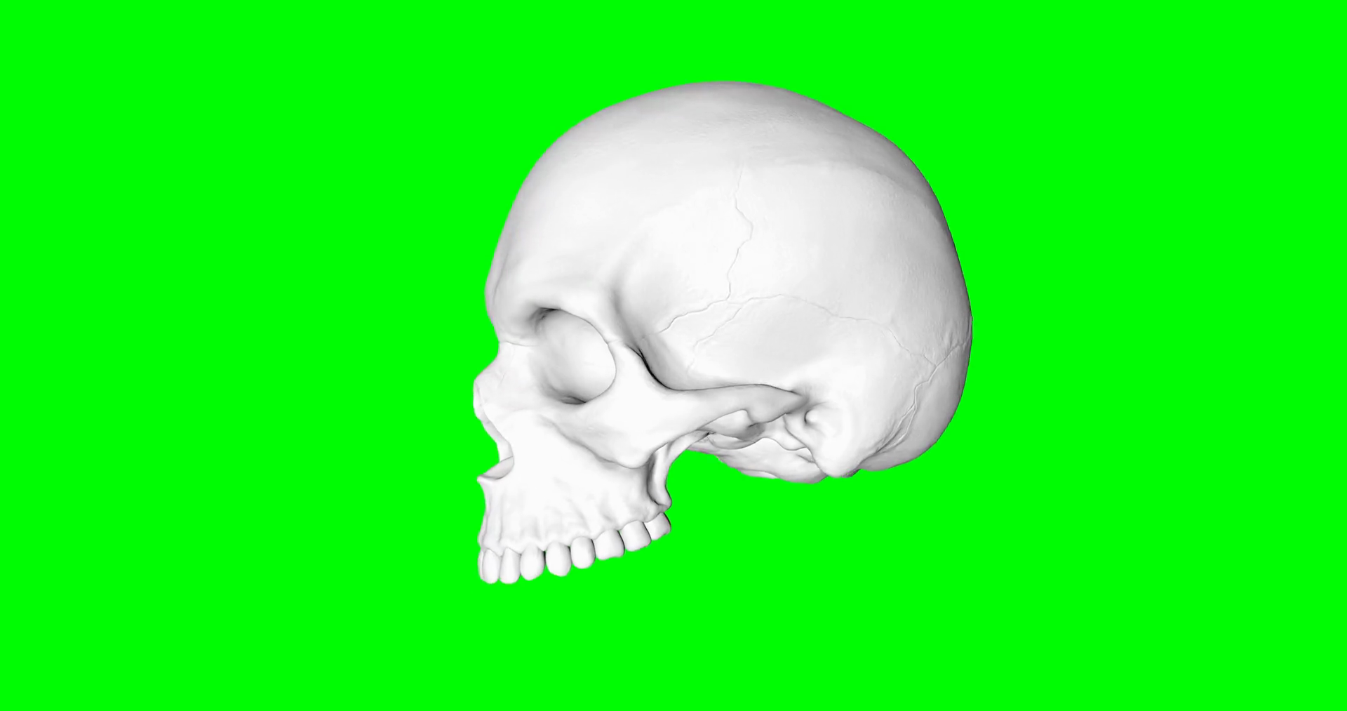 8 Intro Animations Of Human Skull Green Stock Motion Graphics SBV ...