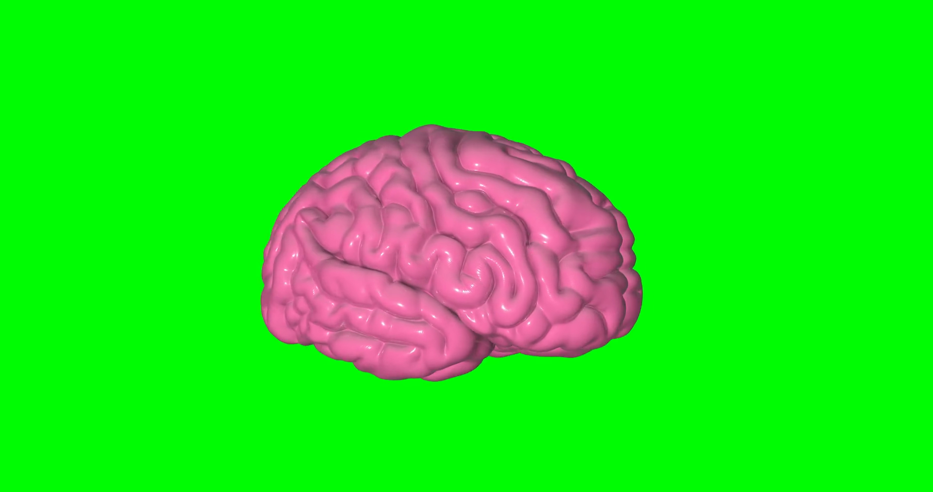 8 Animations Of Anatomy Of Human Brain On Stock Motion Graphics SBV ...