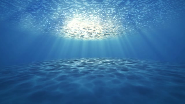 Ocean Floor | Colors motion backgrounds - Storyblocks