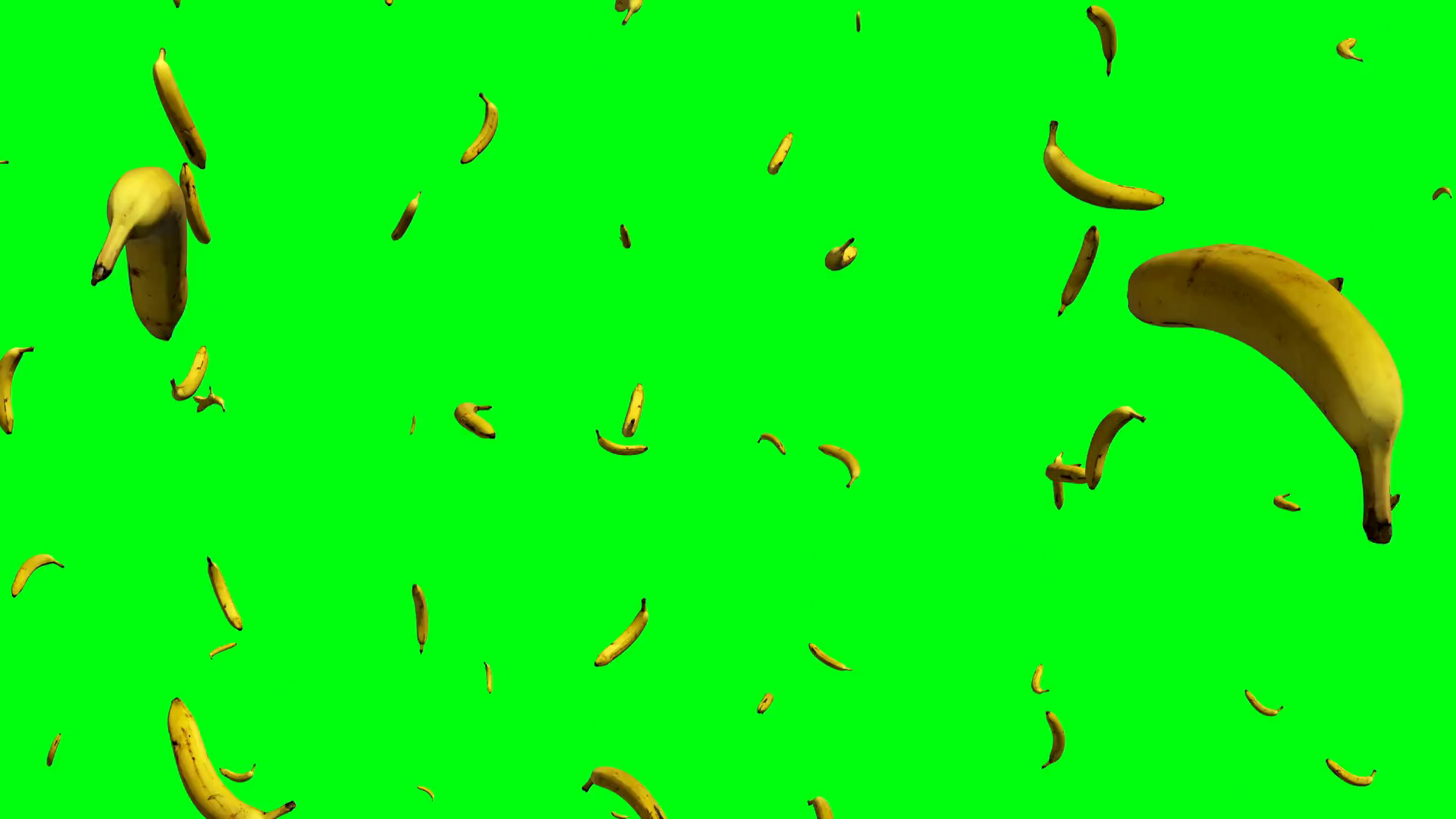 3d Bananas Rain Falling On Green Screen Stock Motion Graphics SBV ...