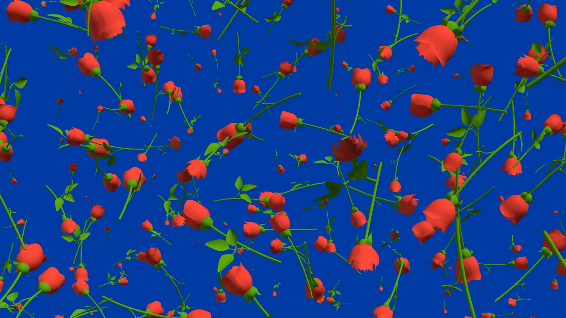 Red Roses Falling On Green Screen Flowers Stock Motion Graphics SBV ...
