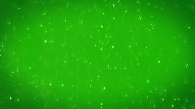 Chroma Key Backgrounds | Effects and Overlays motion backgrounds ...