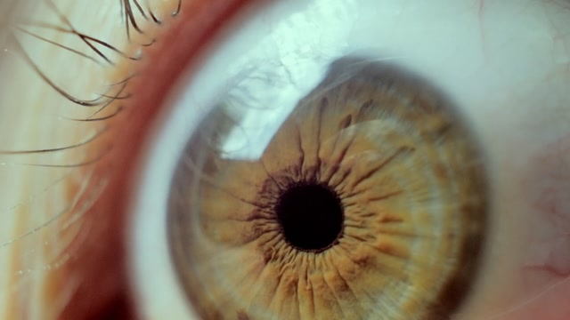 Eye Stock Footage: Royalty-Free Video Clips - Storyblocks