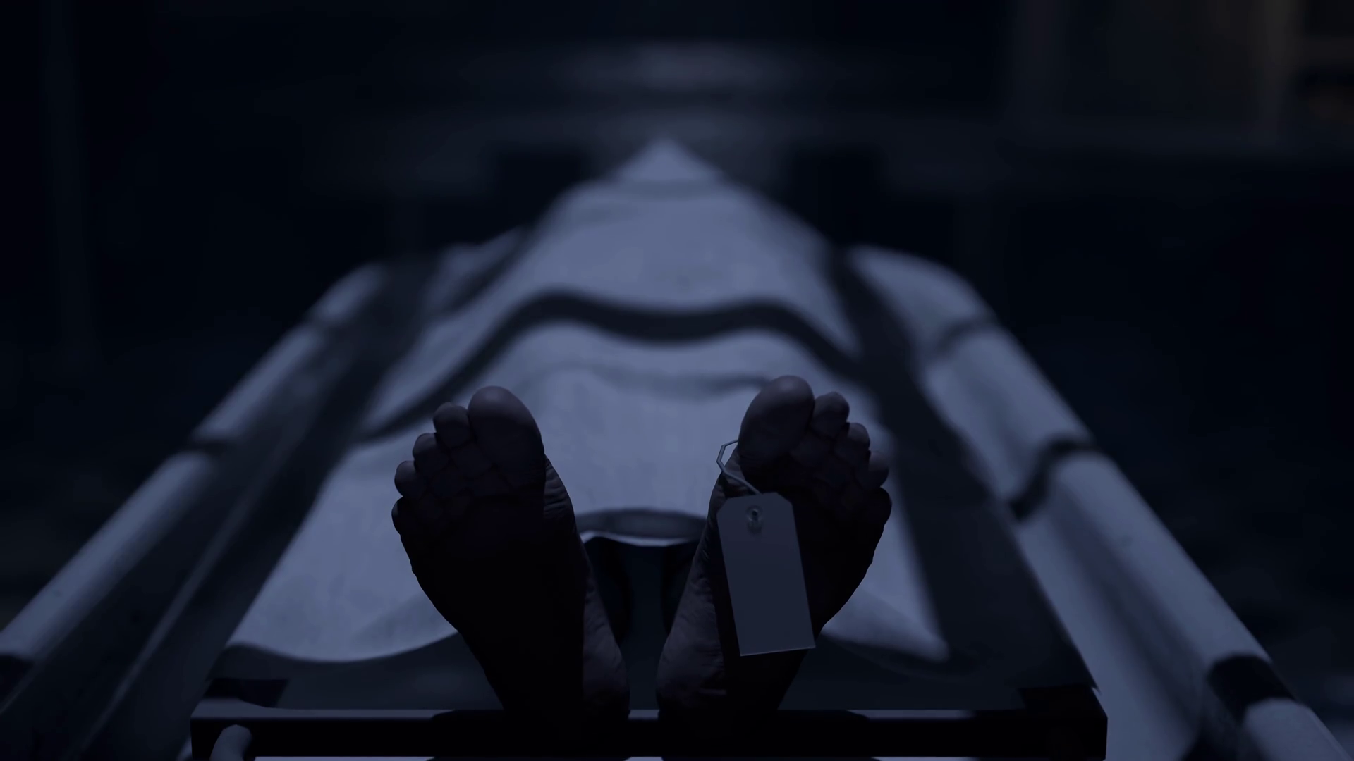 Two Doctors Standing In Fron Of Corpse In Stock Footage SBV-348844374 ...
