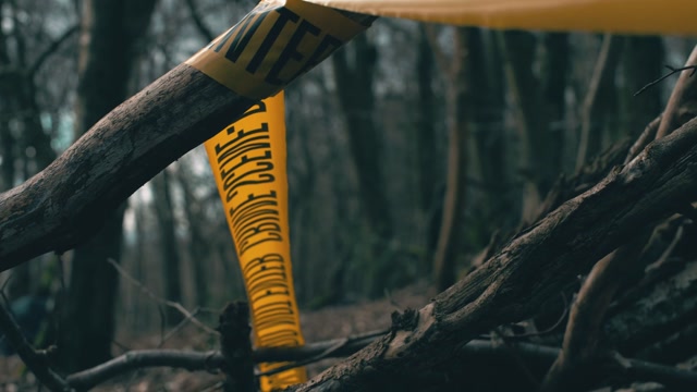 Boundary Tape Stock Footage: Royalty-Free Video Clips - Storyblocks