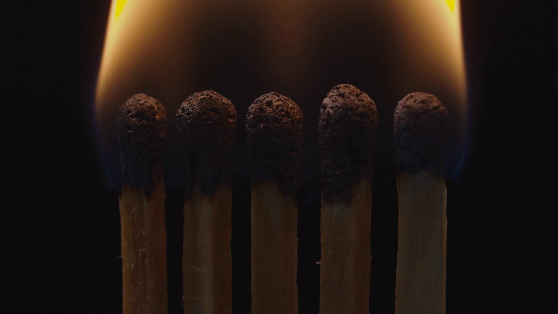 Close up of five matches heads burning on black background. Fire of ...