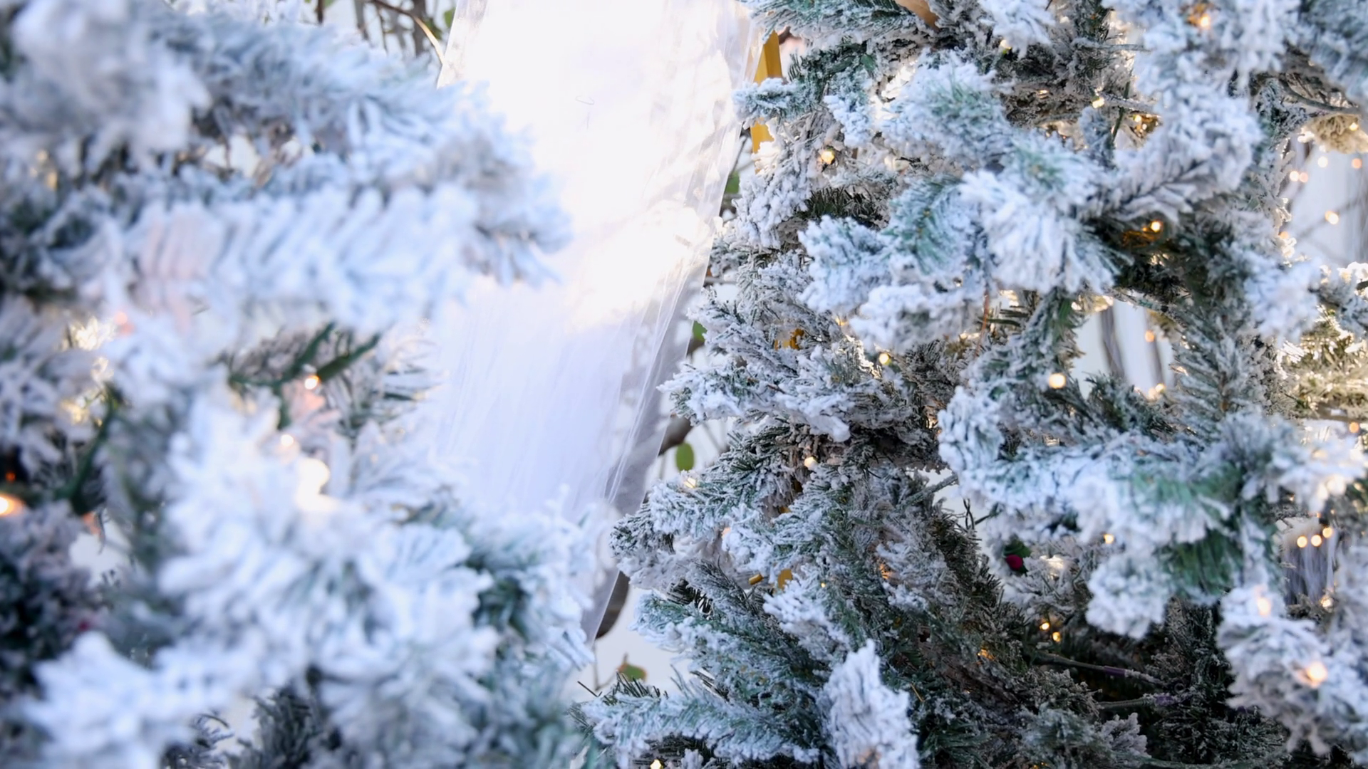 Experience Magic Of Winter Wonderland With Stock Footage SBV-351688842 ...