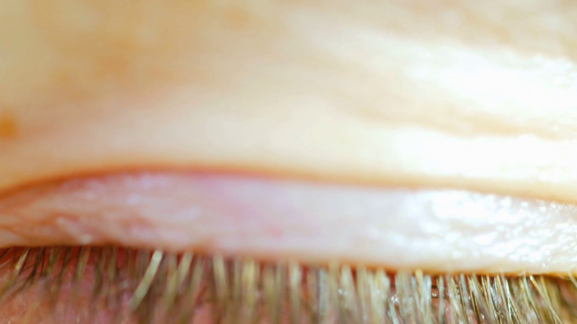 Eye Zoom Into Black Pupil Macro Close Up Stock Footage SBV-311498168 ...