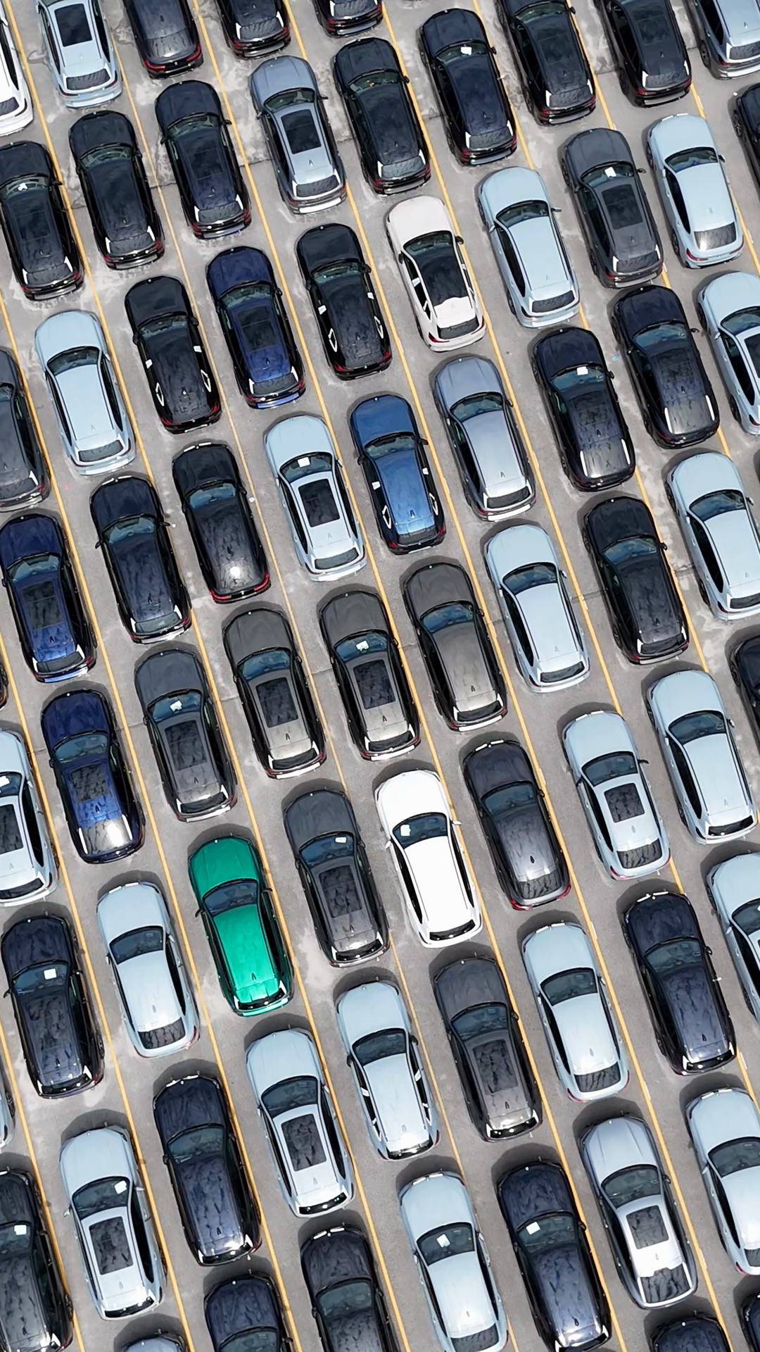 A Diverse Colorful Array Of Parked Cars Stock Footage SBV-353066592 ...
