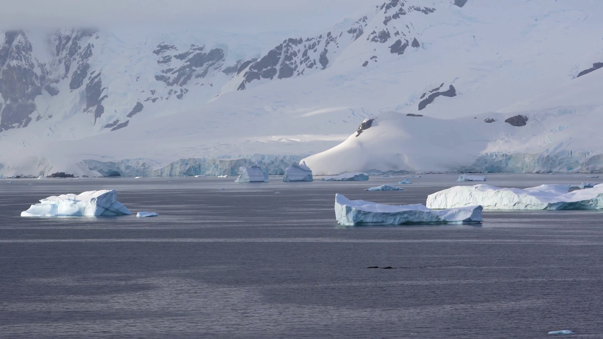 Antarctica Beautiful Wide Vista Landscape Stock Footage SBV-351865156 ...