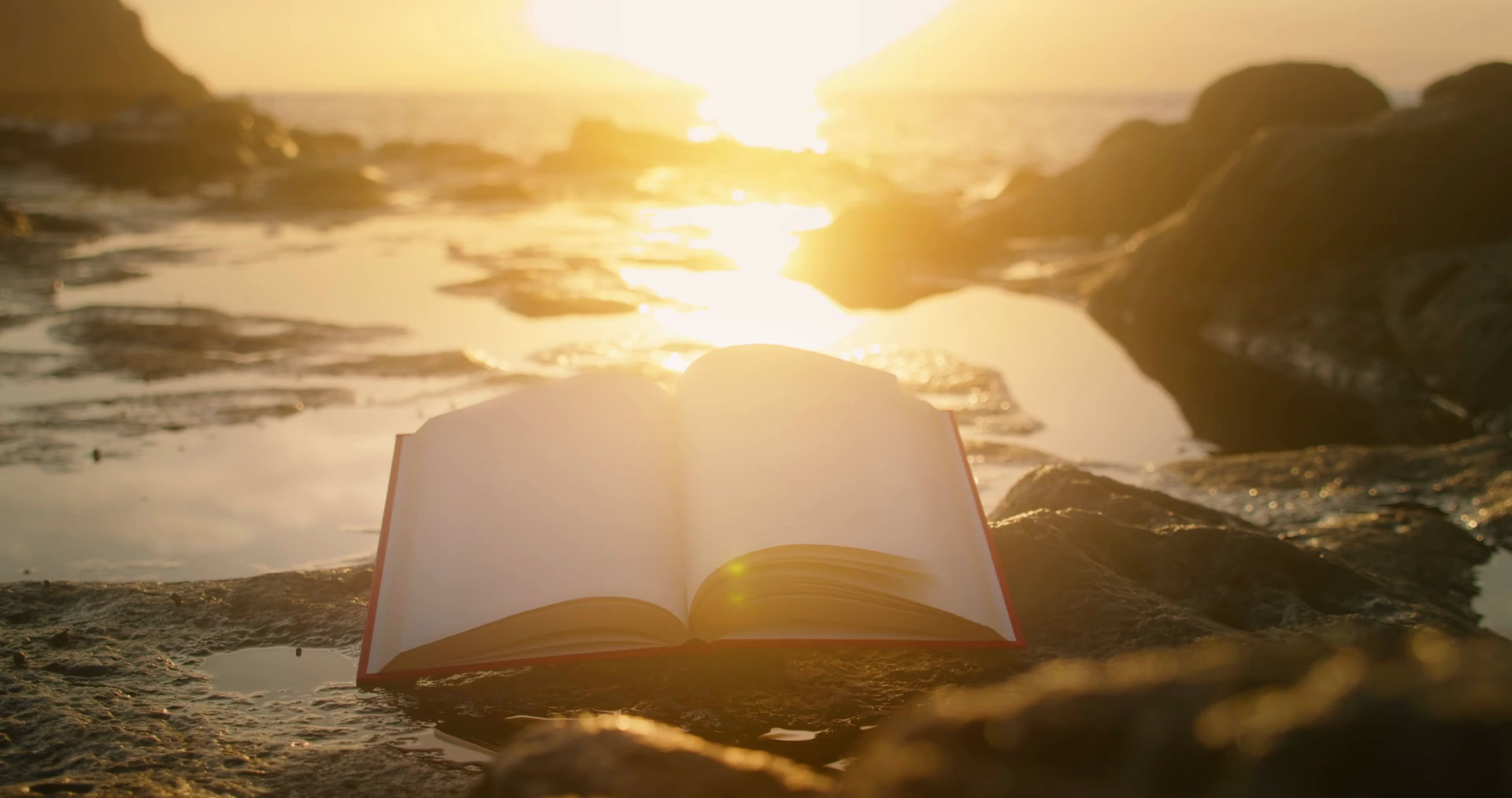 Close-up Open Book Bright Sunset Light Stock Footage SBV-347517069 ...