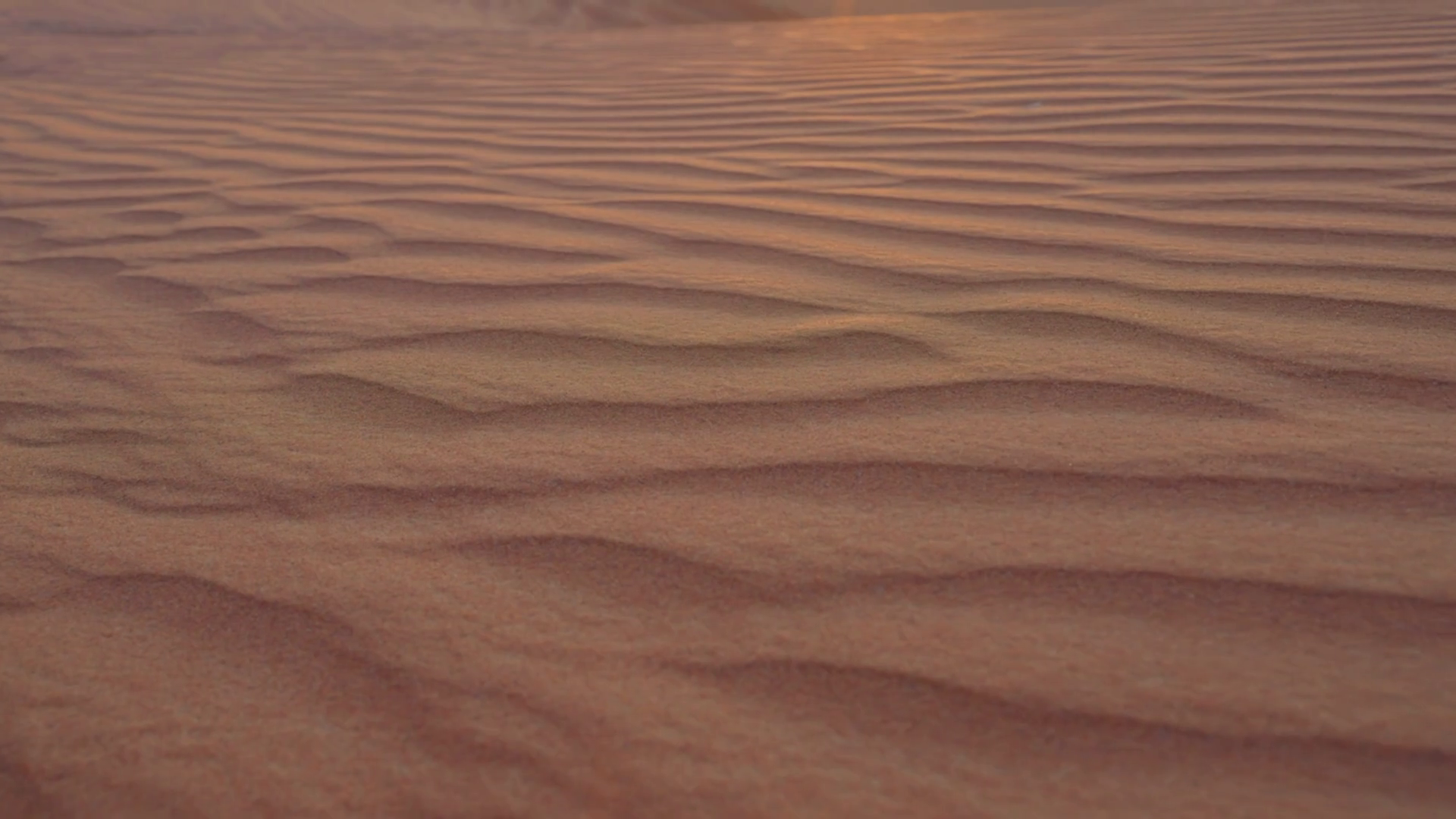Sunset In Desert Tilt Up View From Rippled Stock Footage SBV-348823814 ...