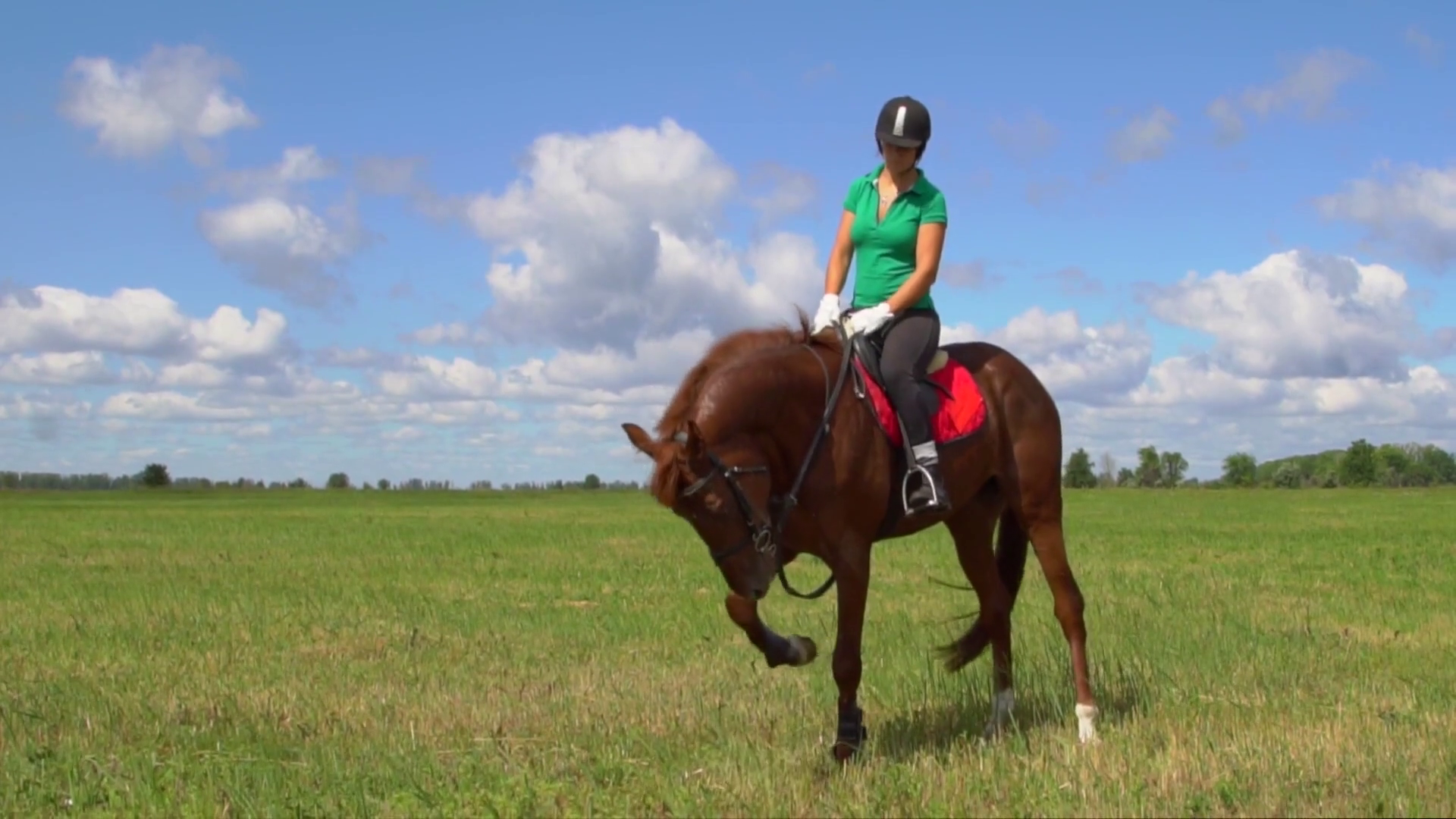 Woman Ride Horse Hoof Beats Play With Rider Stock Footage SBV-308768436 ...