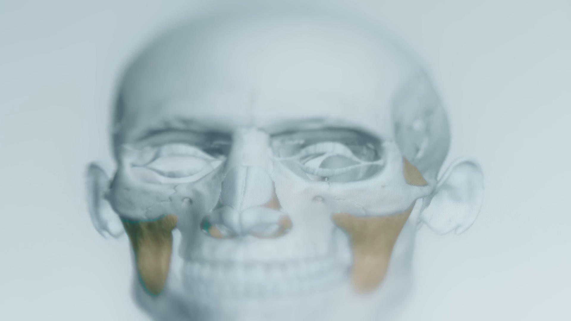 Macro View Of Human Skull With Ligaments Stock Footage SBV-352524487 ...