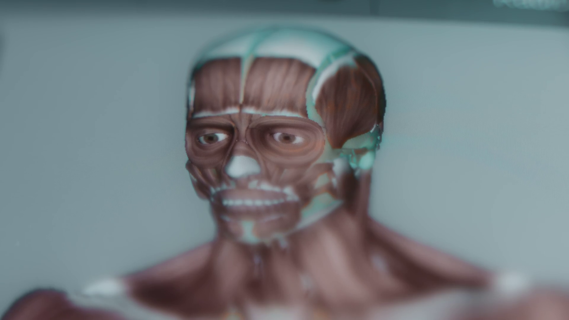 Viewing Muscular System Of Human Head Stock Footage SBV-352629649 ...