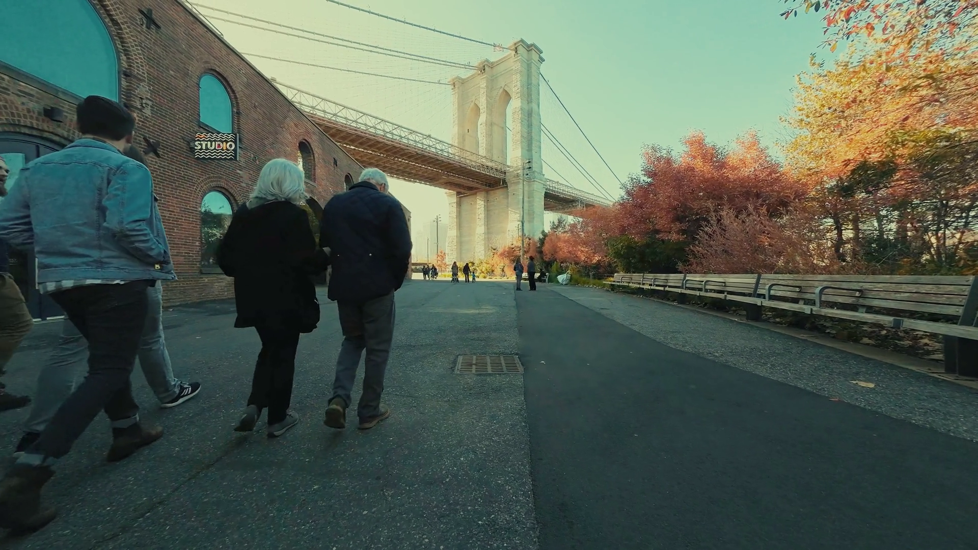 People Relax Walk In Park With Brooklyn Stock Footage SBV-352637017 ...