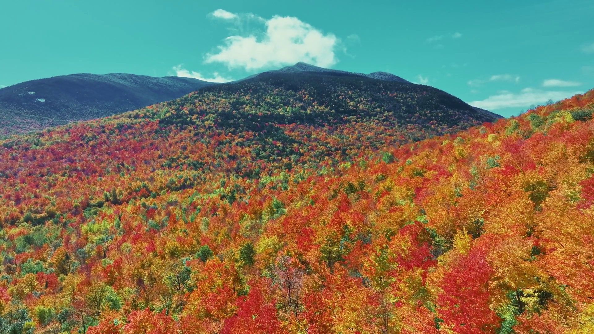 Aerial View Of Beautiful Autumn Foliage With Stock Footage SBV ...