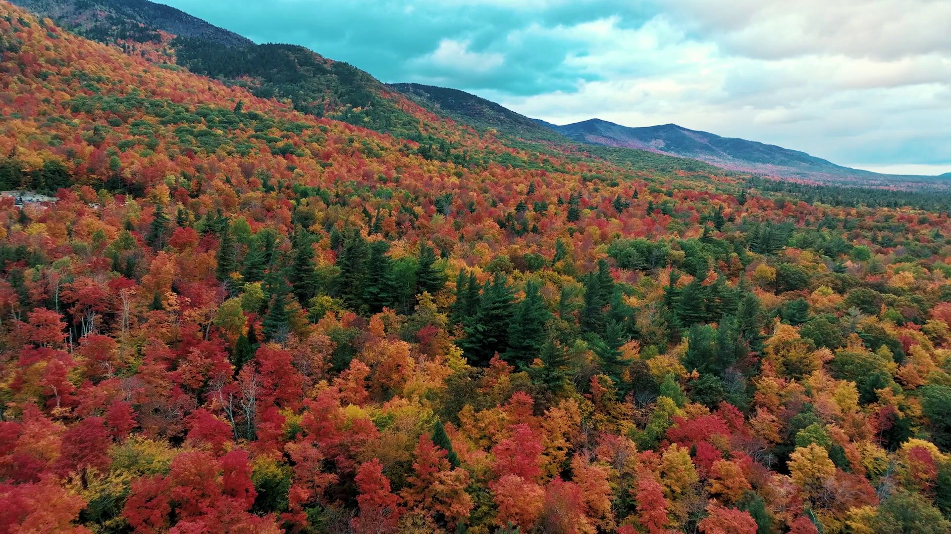 Aerial View Of Beautiful Autumn Foliage With Stock Footage SBV ...